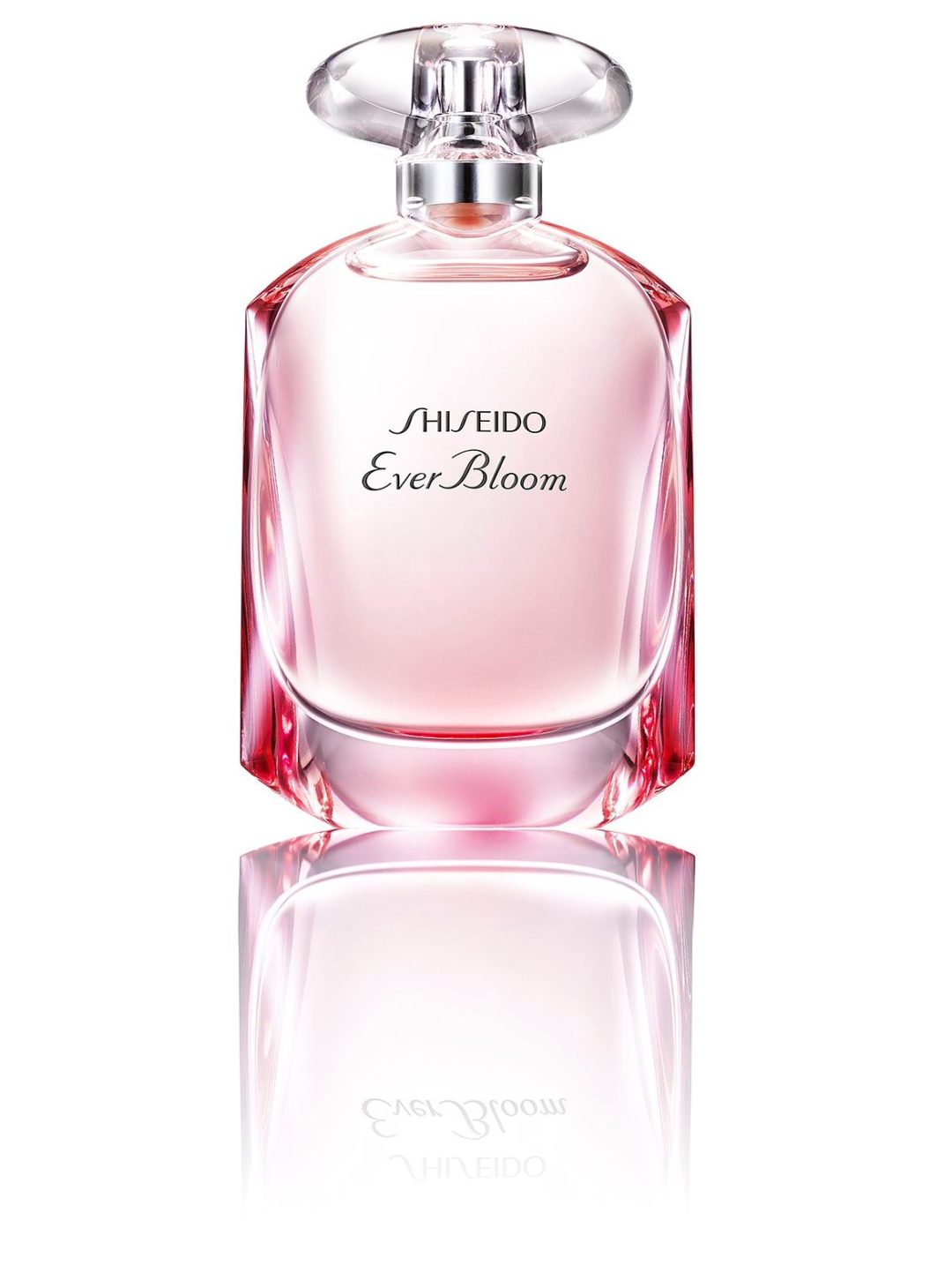 Les parfums Shiseido ou comment être irrésistible ? - Mes Découvertes ...